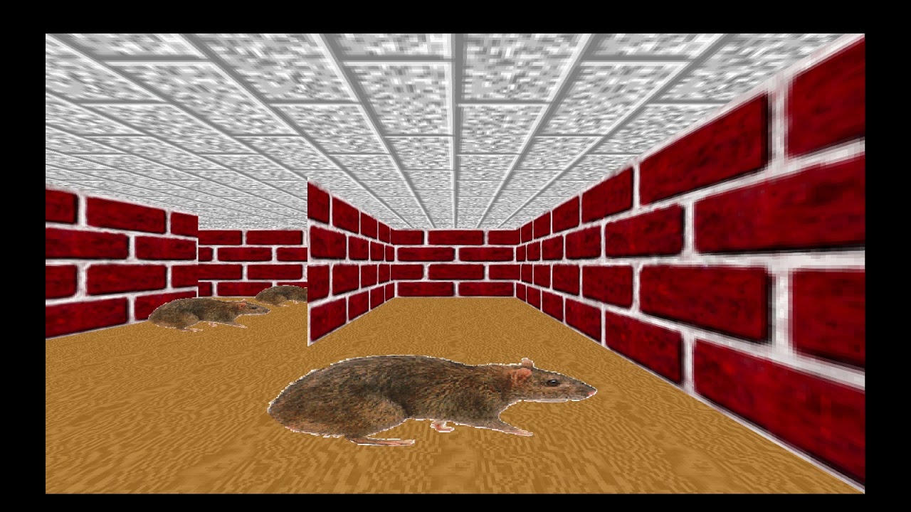 3D Maze Screensaver but with 135 Rats - YouTube