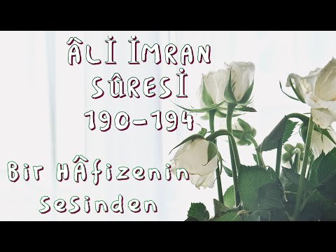 Ali imran suresi 190-194. ayetler /Bir hâfizenin sesinden