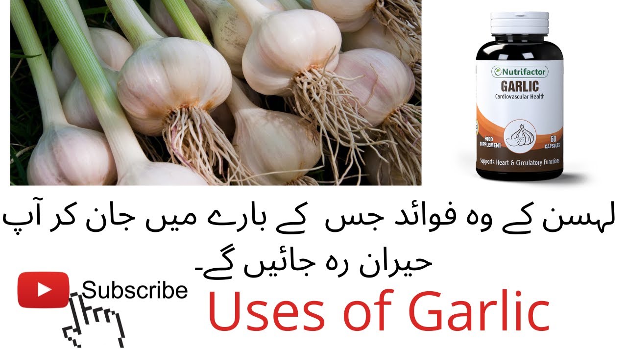 Benefits of Garlic | Lehsan Khane Ke Fawaid |How to Eat Garlic Lehsan ...