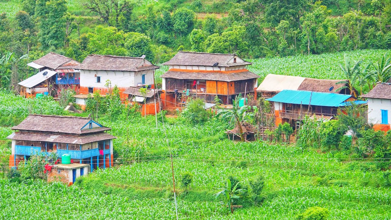 Beautiful Countryside life in Western Nepal | Rural life in Nepal ...