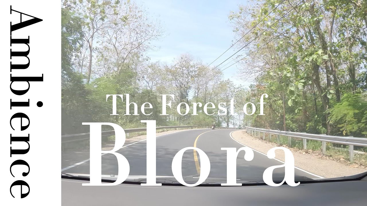 The Ambience : City and Area Blora City 2023, The Great Java Island ! - YouTube