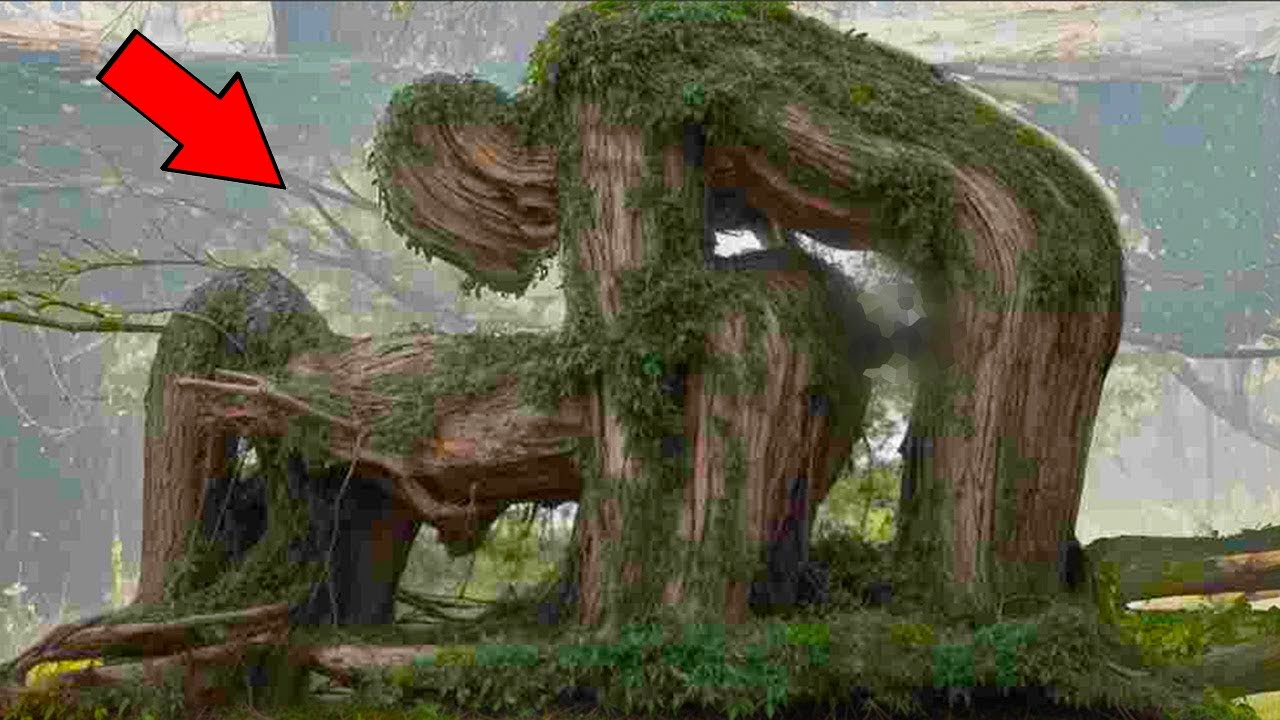 Texas Farmer Discovered The Most Unusual Tree In The World, What He ...