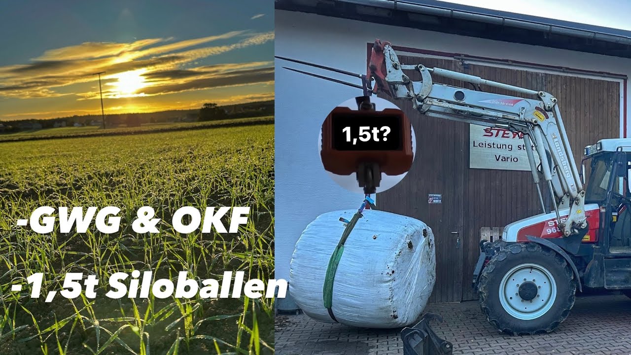 Siloballen Wiegen | Felder Rundfahrt | BHTR - YouTube