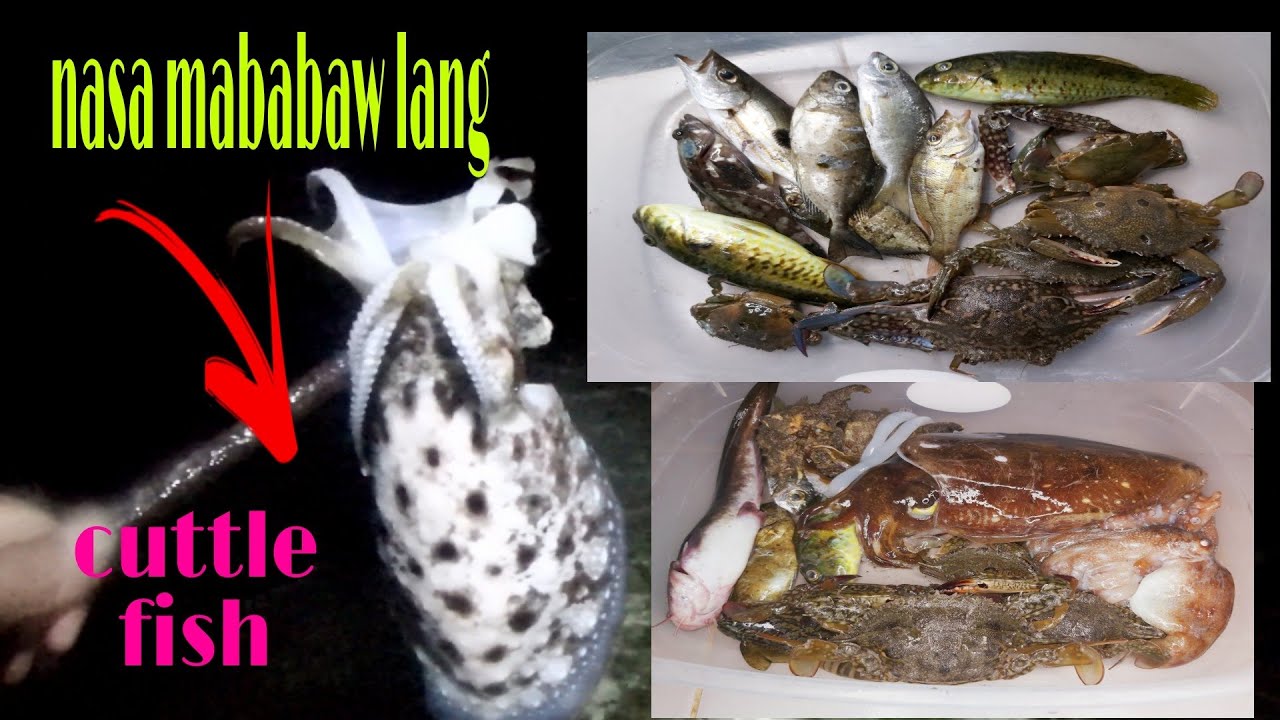 Night 1 pangingilaw/panulo/night hunting cuttle fish/octopus/alimasag ...