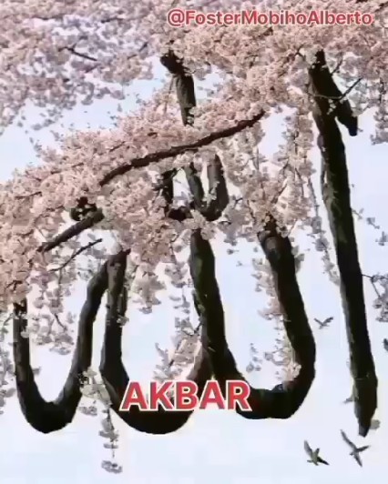 Allahu Akbar: Islamic Prayer | Edit For Muslim 👳‍♂️ | Calligraphy ...