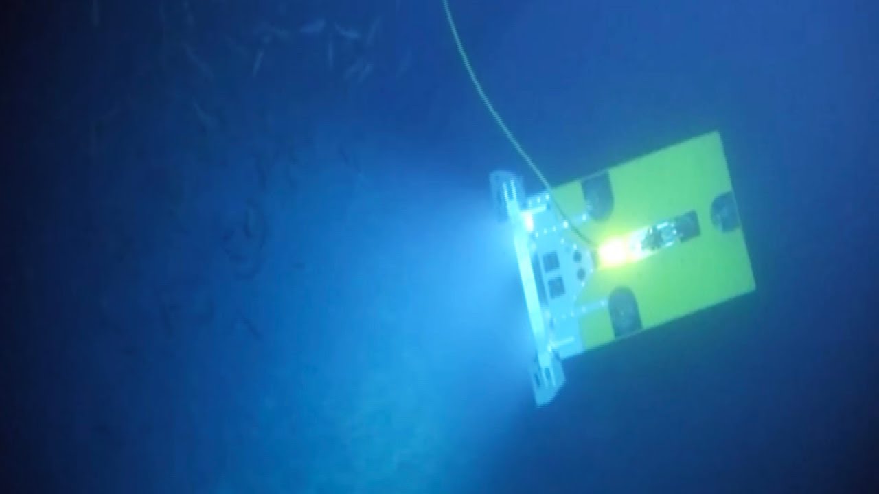 Deep sea robots reveal mineral riches in the abyss - YouTube