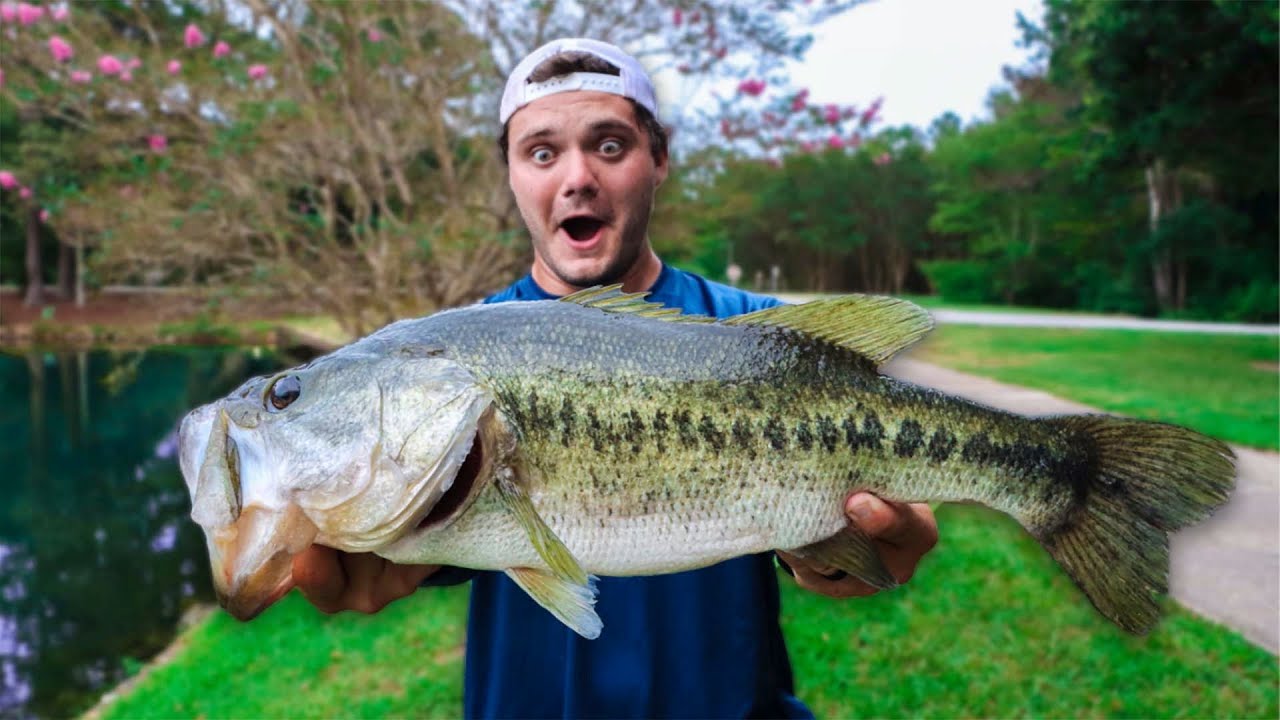 SNEAKING into RESORT POND to Catch BIG BASS!! (topwater explosions ...
