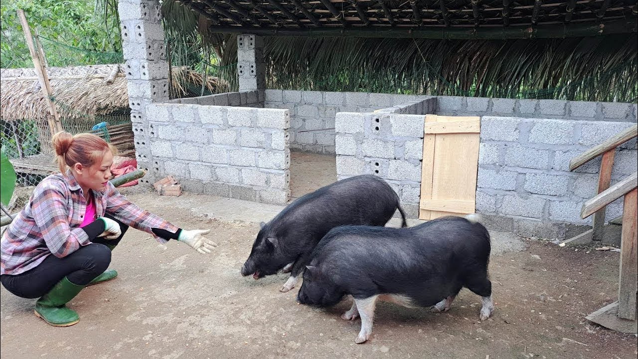 TIMELAPSE: 125 Days Build House For Pig, Build Brick House - Green ...