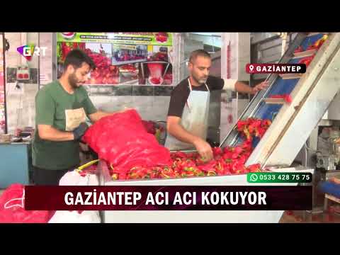 100 kilo biberden 14 kilogram salça çıkıyor