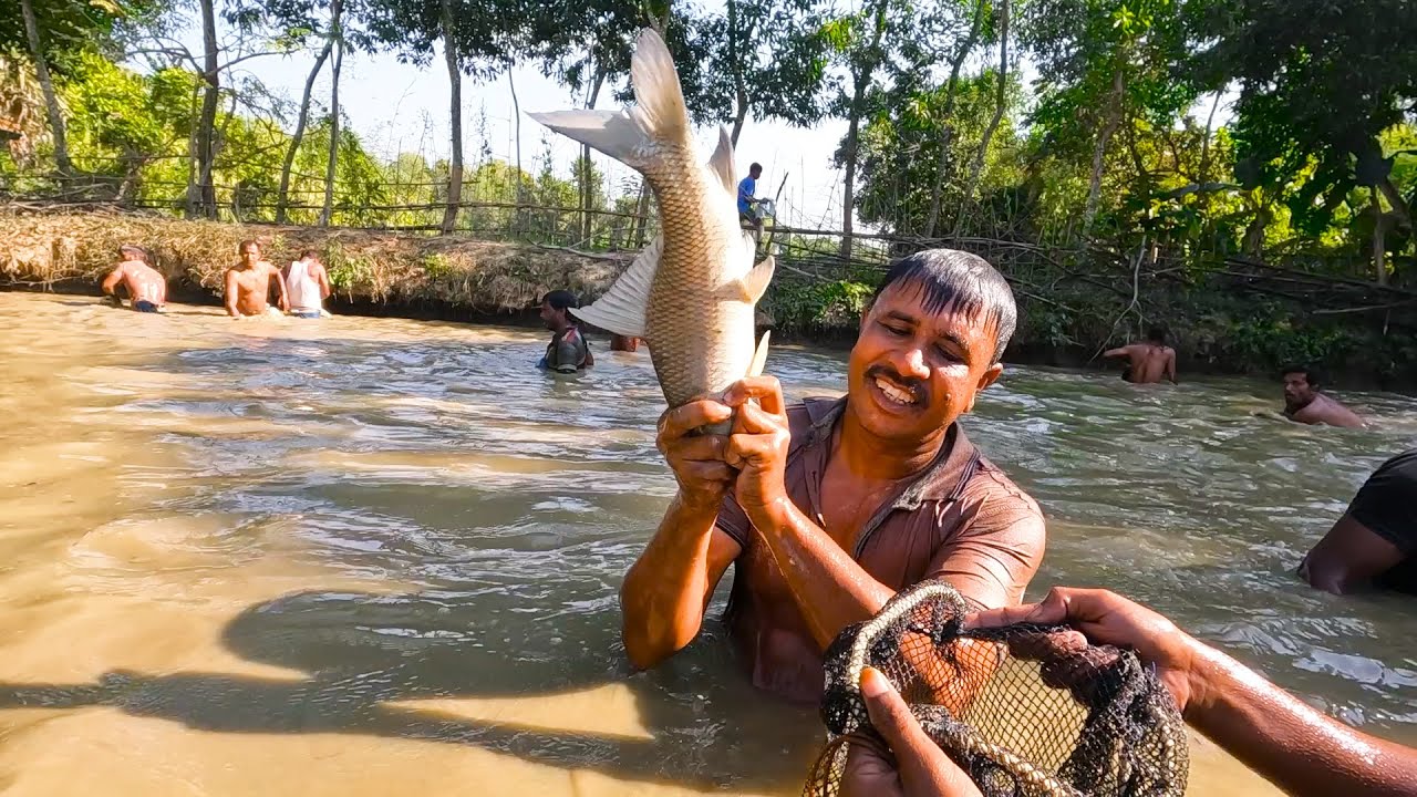 Best Rural Polo Fishing In Village Pond || Traditional Polo Fishing ...