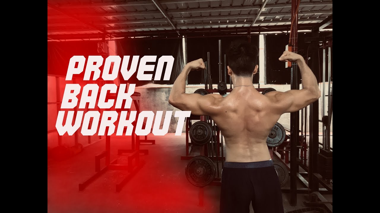 BASIC BACK WORKOUT. BACK EXERCISE - YouTube