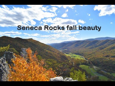 Seneca Rocks, have you seen this Autumn view? Fall Beauty in West ...