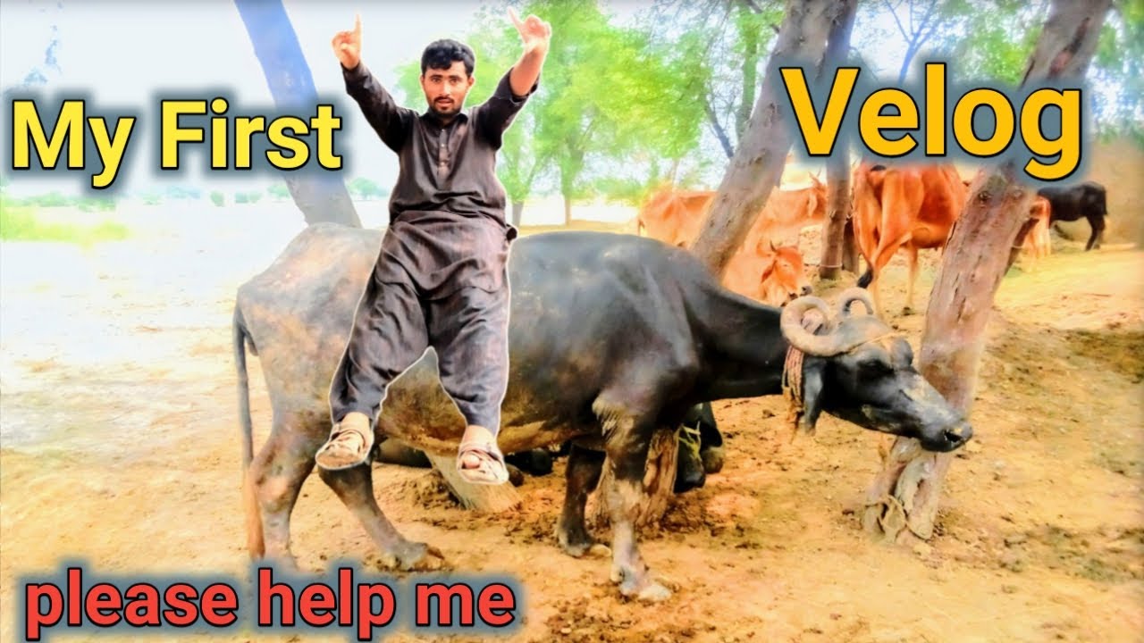 My First Velogs|| My first Video|| please help me - YouTube