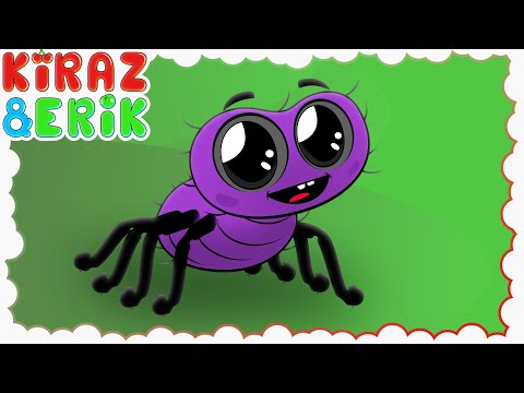 MİNİK ÖRÜMCEK ŞARKISI 🤗🕸️🕷️ | Eğlenceli Çocuk ve Bebek Şarkıları | Okul Öncesi | Kiraz ve Erik