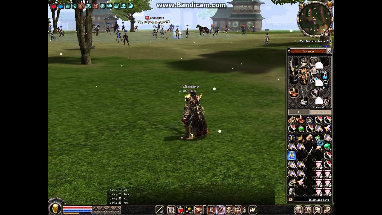 Metin2 Arena .. Ce face modu .. - YouTube