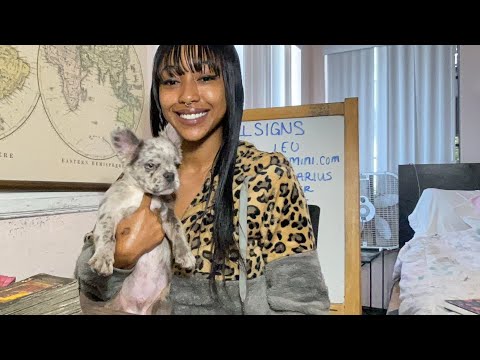 ALL SIGNS - 48 HOURS - YouTube