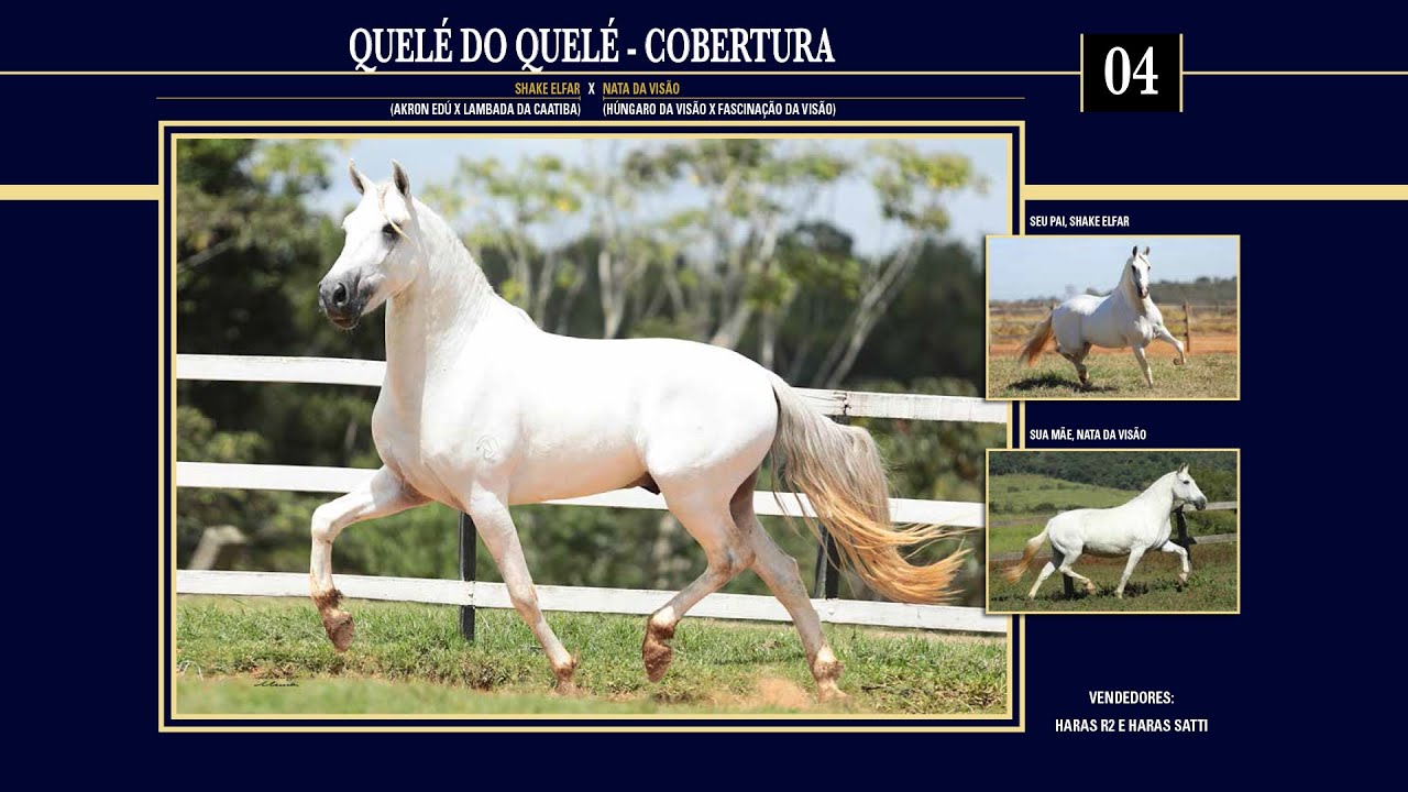 04 Quelé do Quelé cobertura - YouTube