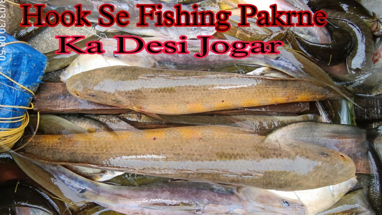 Hamne Kinare Kinare dala 🎣 Fish Pakra Hai - YouTube