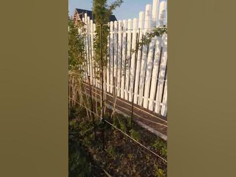 Опора под малину. - YouTube