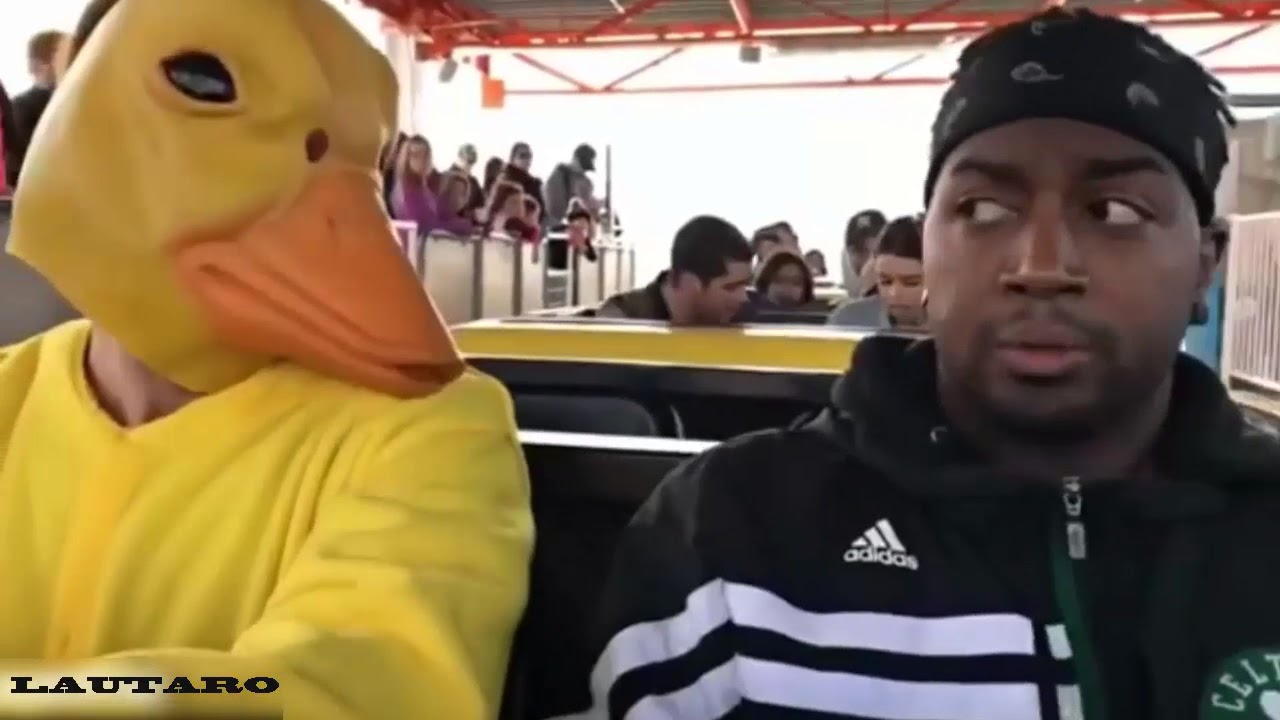 Si ves a este Pato en la calle, corre [Pato Salvaje] - YouTube