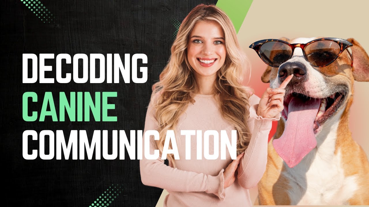 10 Things Your Dog Wants to Tell You | Dog Emotions Decoded | Reading Dog Signals - YouTube