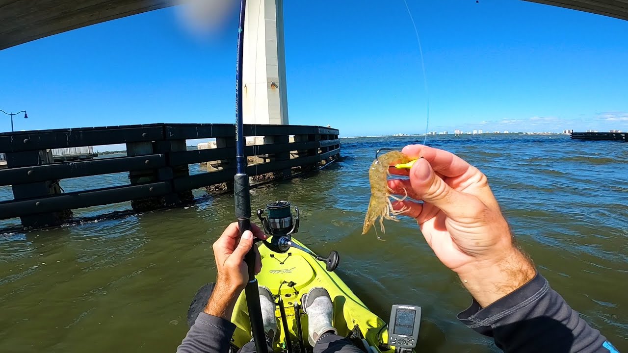 Fishing Structure with Live Shrimp - YouTube