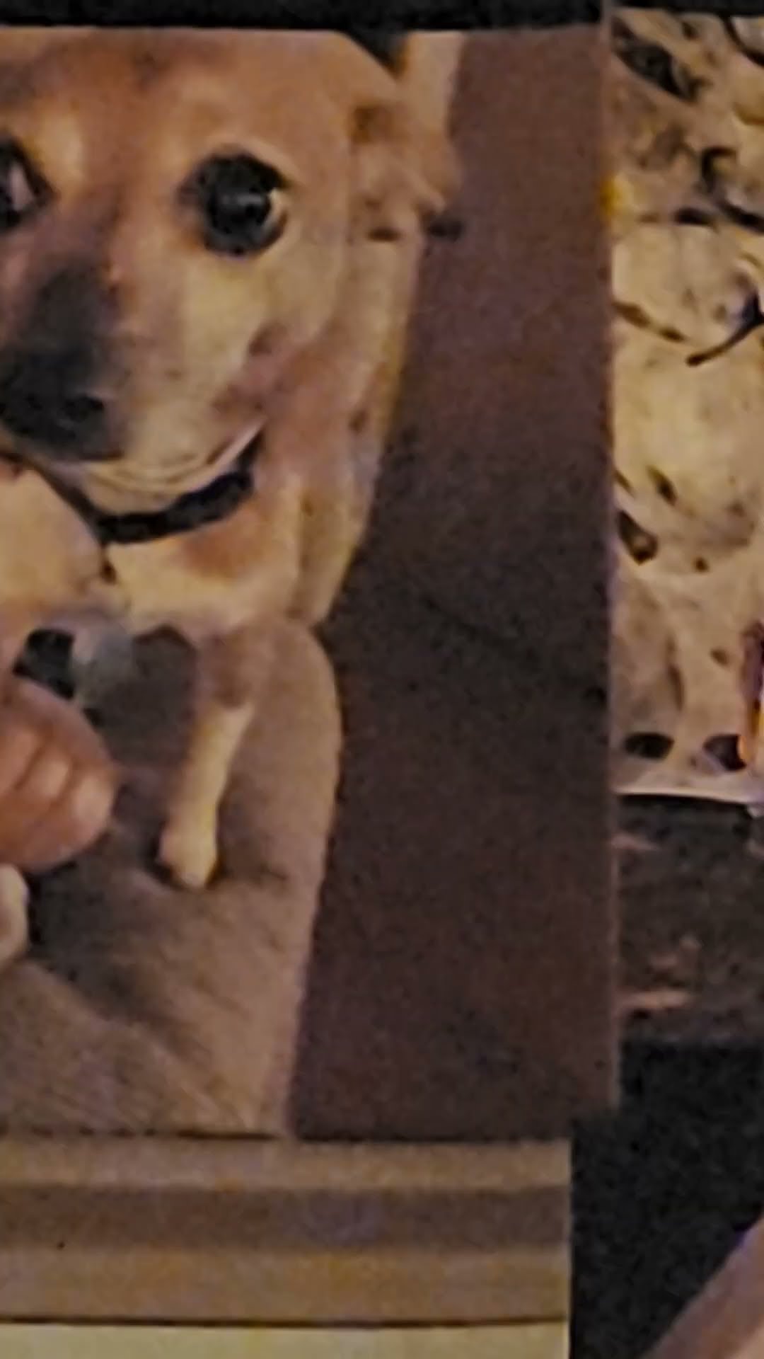 July 14, 2024 - YouTube