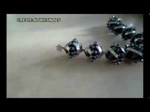 European Space Agency Wants a Snake Robot on Mars - YouTube