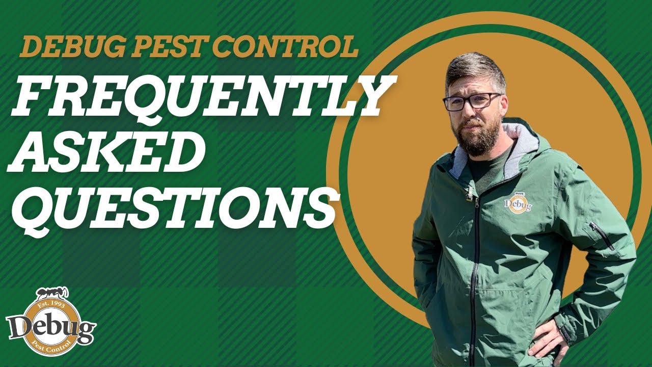 Debug Pest Control - Frequently Asked Questions (FAQs) - YouTube