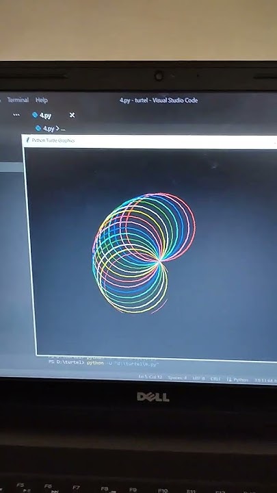 python turtle | python programming language - YouTube