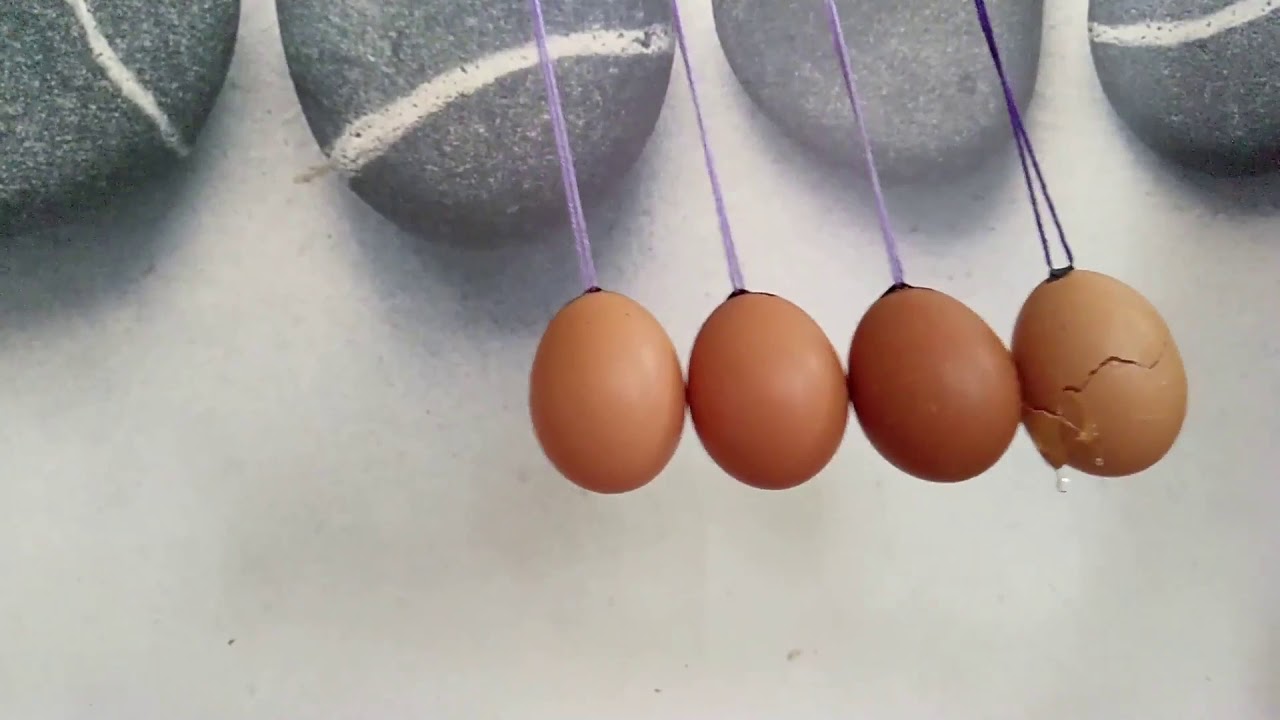 What did you eggspect ? ... - YouTube