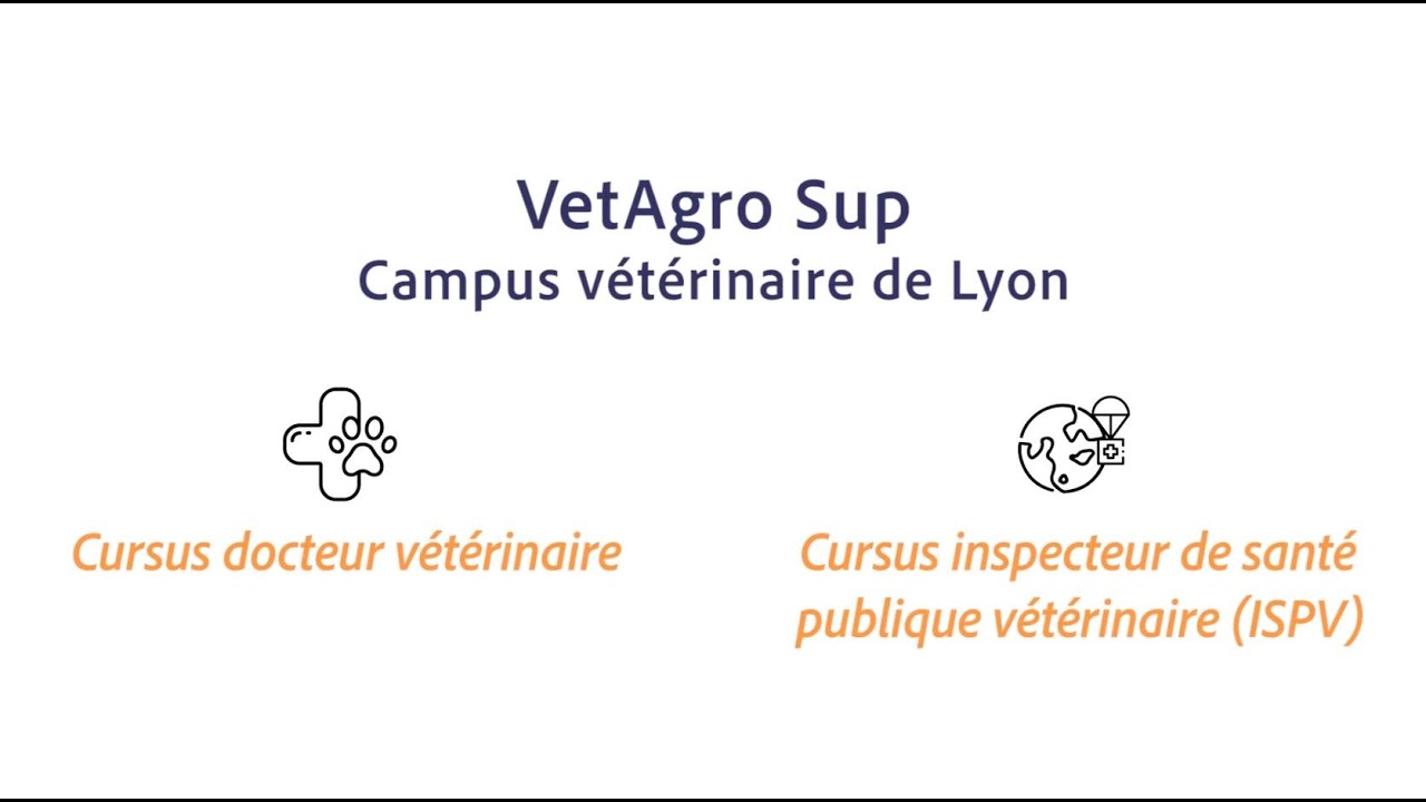 VetAgro Sup - Campus vétérinaire - YouTube
