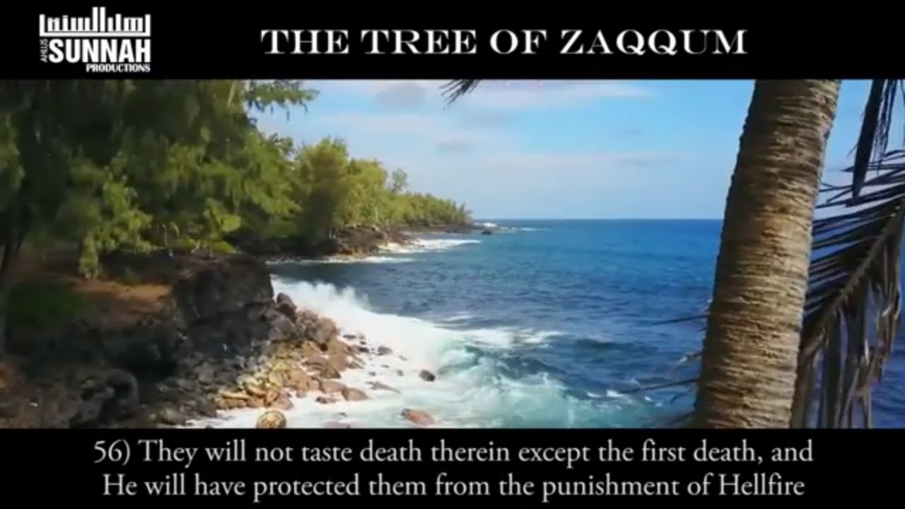 044 Surah Ad Dukhan 40 59 The Tree of Zaqqum by Mishary