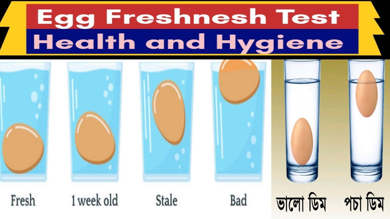 Egg Freshness Test 🥚 || How to Test eggs whether it is Fresh or stale ...