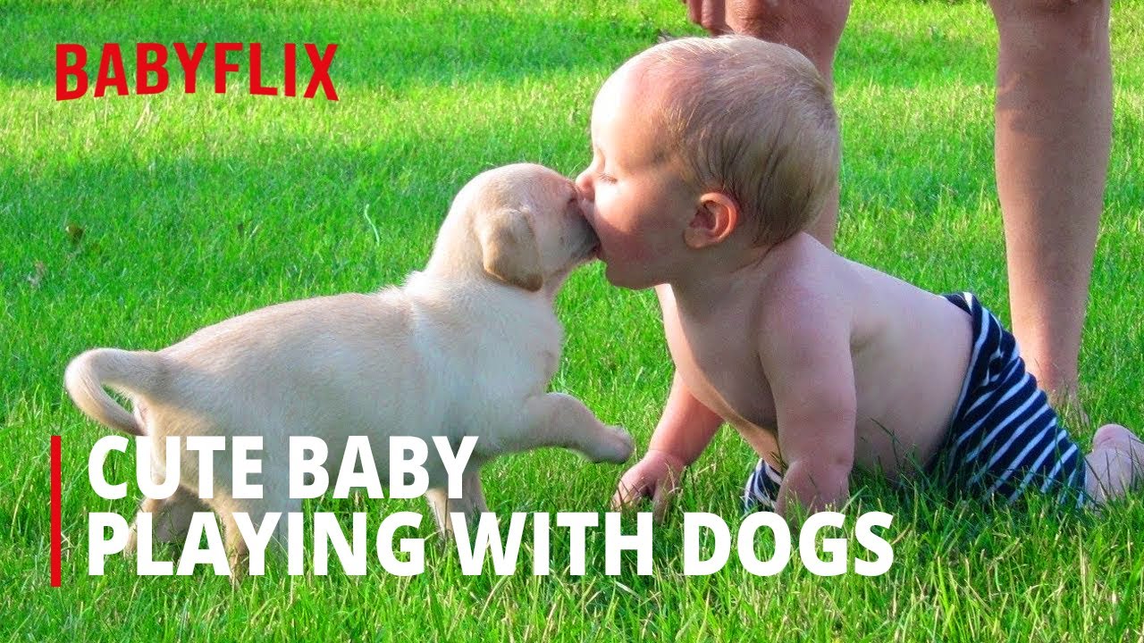 Cute Baby Playing with Dog | Cute Babies and Puppies Playing Together ...