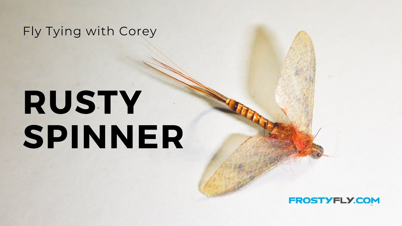 Fly Tying with Corey: Rusty Spinner - YouTube