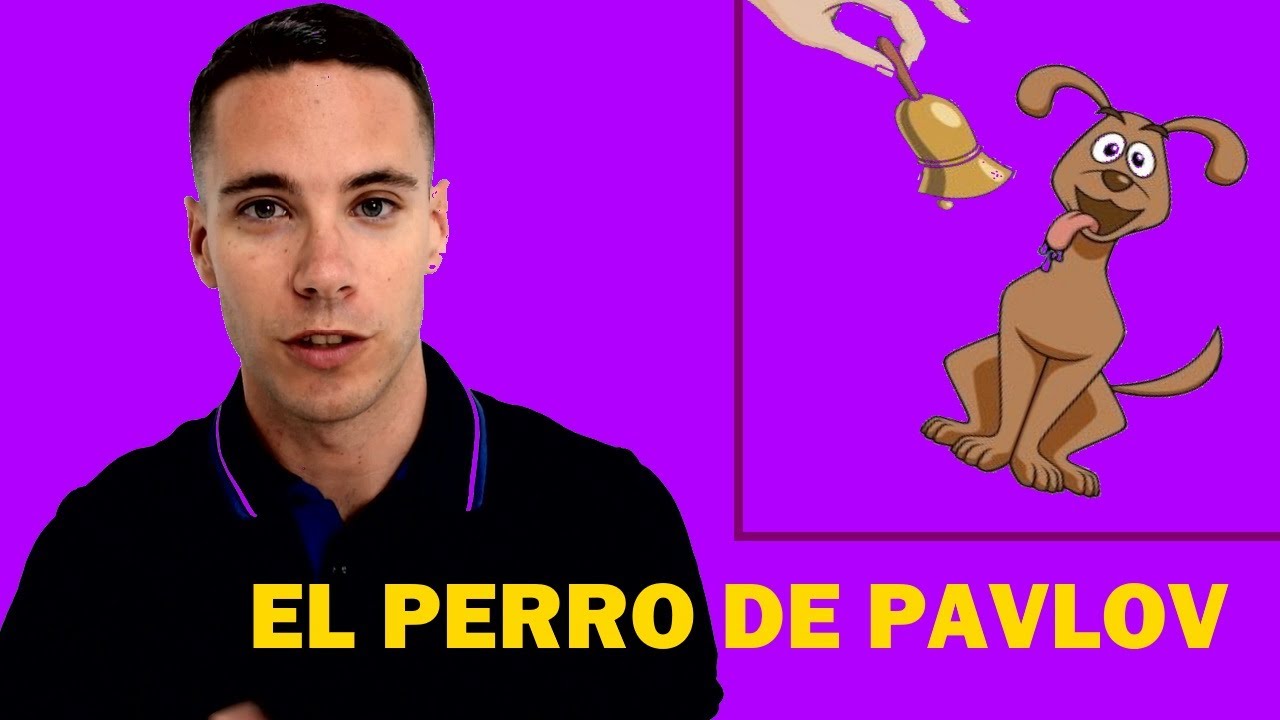 El perro de Pavlov y el condicionamiento clásico - YouTube