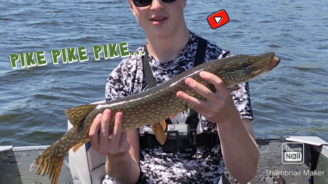Pike Fishing Clean Water! - YouTube