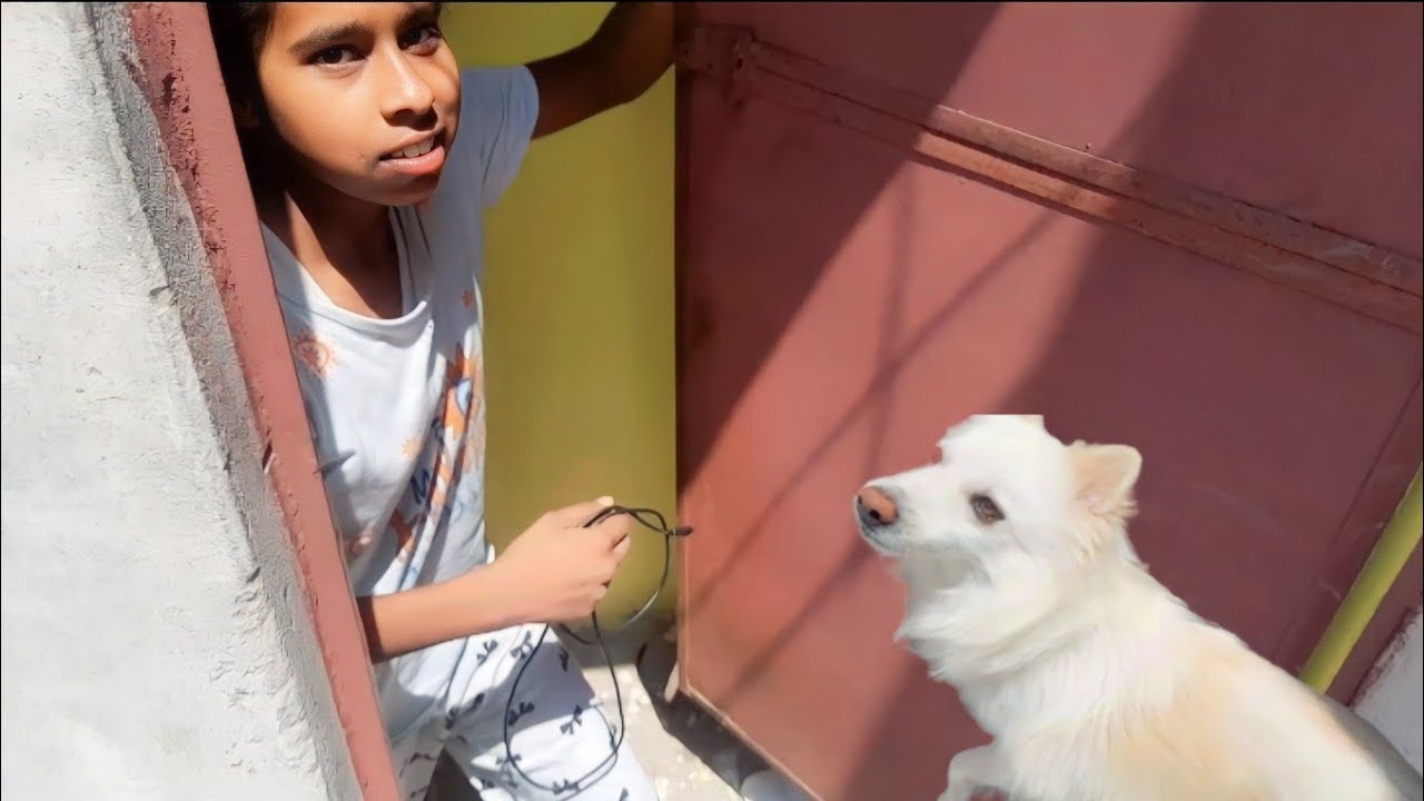 Payal Ko andar Lock Kar Diya 🤔 - YouTube