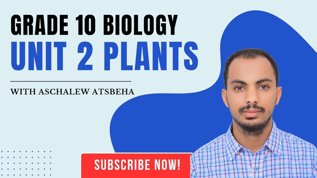🌱 Grade 10 Biology - Unit 2: Plants | Ethiopian Curriculum | PowerPoint ...