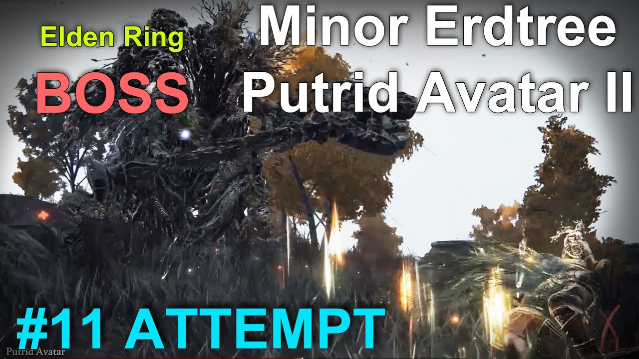 Elden Ring Minor Erdtree Putrid Avatar II VS Wretch BOSS Fight at North ...