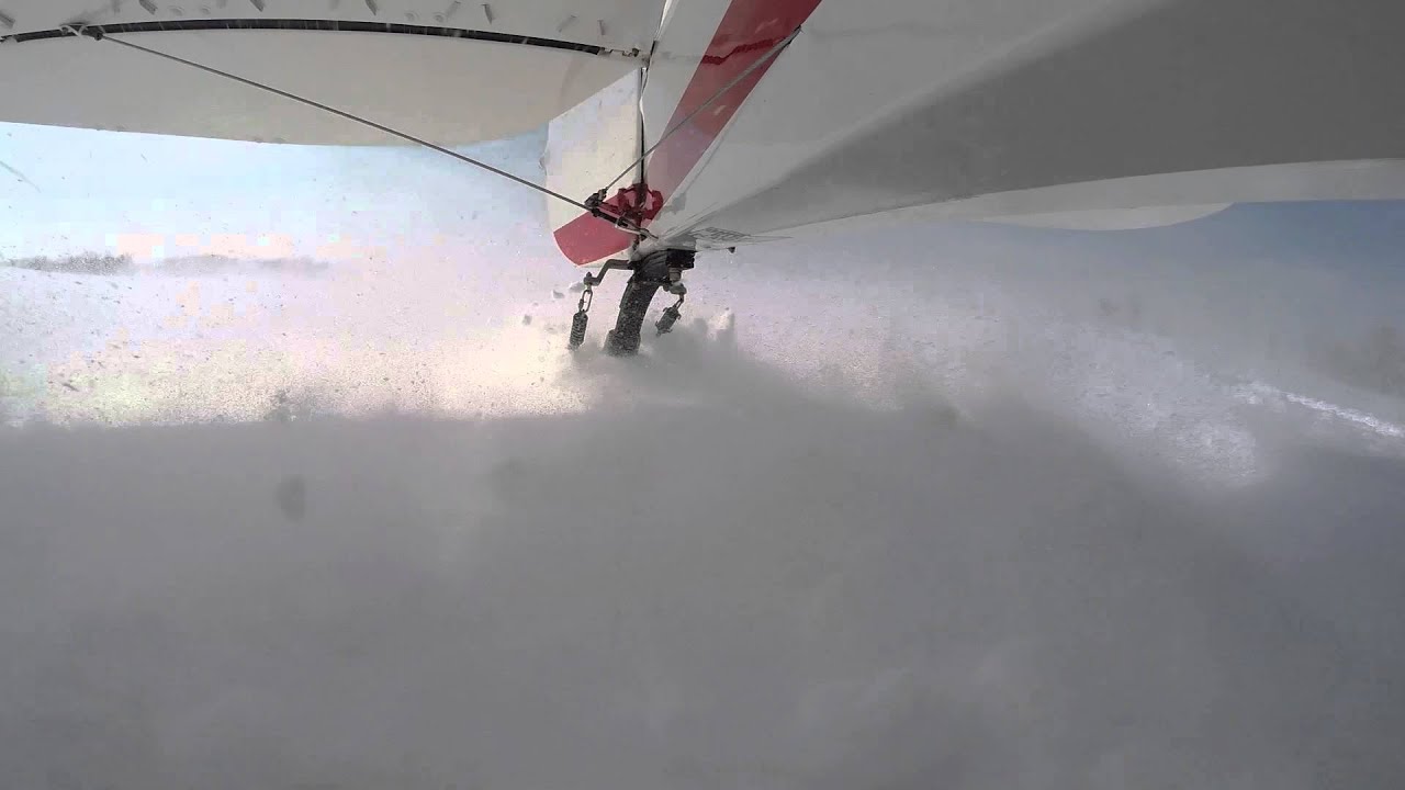 Snowy Baby Bushwheel - YouTube