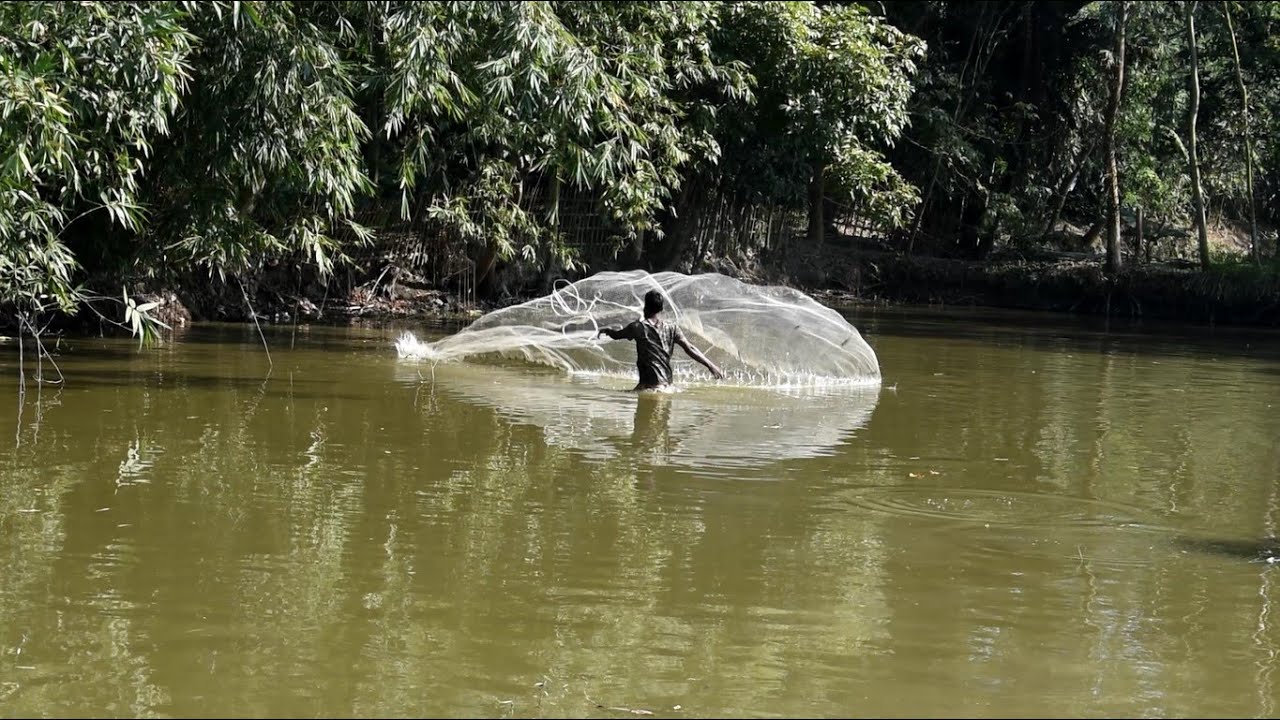 Cast Net Fishing In Amazing Big Fish - Best Net Fishing - P-166 - YouTube