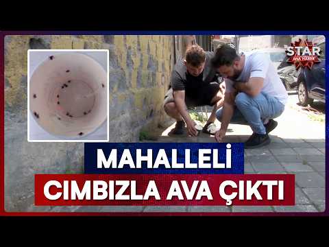 Mahalleli Diken Üstünde: 'Kimse Evden Dışarı Adım Atamıyor!' | Star Ana Haber