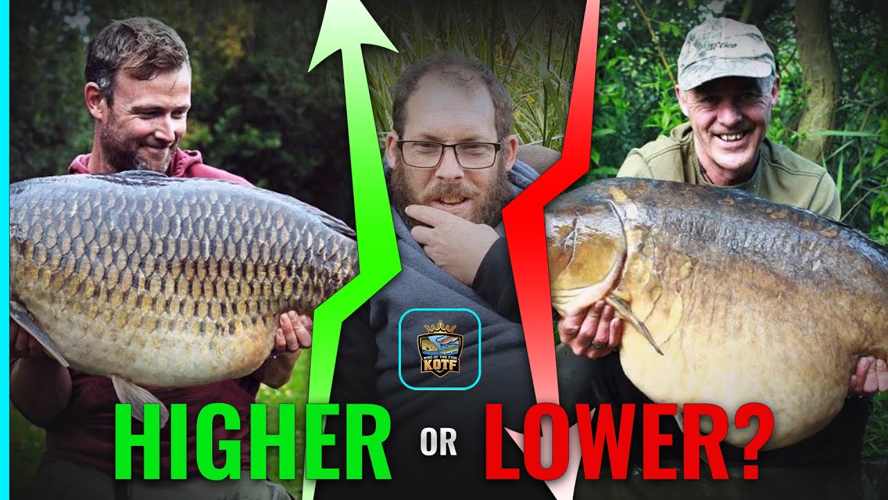 HIGHER OR LOWER: CARP EDITION || WITH DAN - YouTube