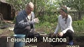 Картофель ЛУЧШЕЕ Органическое Удобрение для Картофеля при Посадке в ...