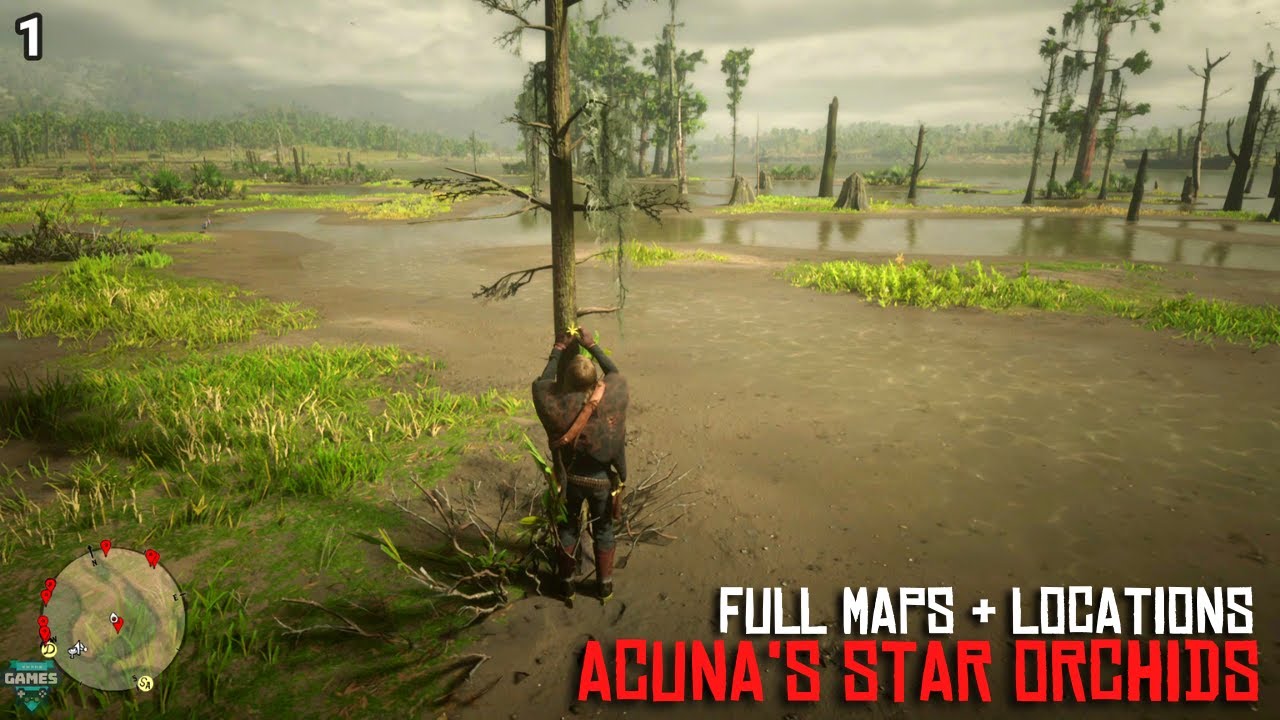 Red Dead Redemption 2 - ALL 10 Acuna's Star Orchids Locations & Maps ...