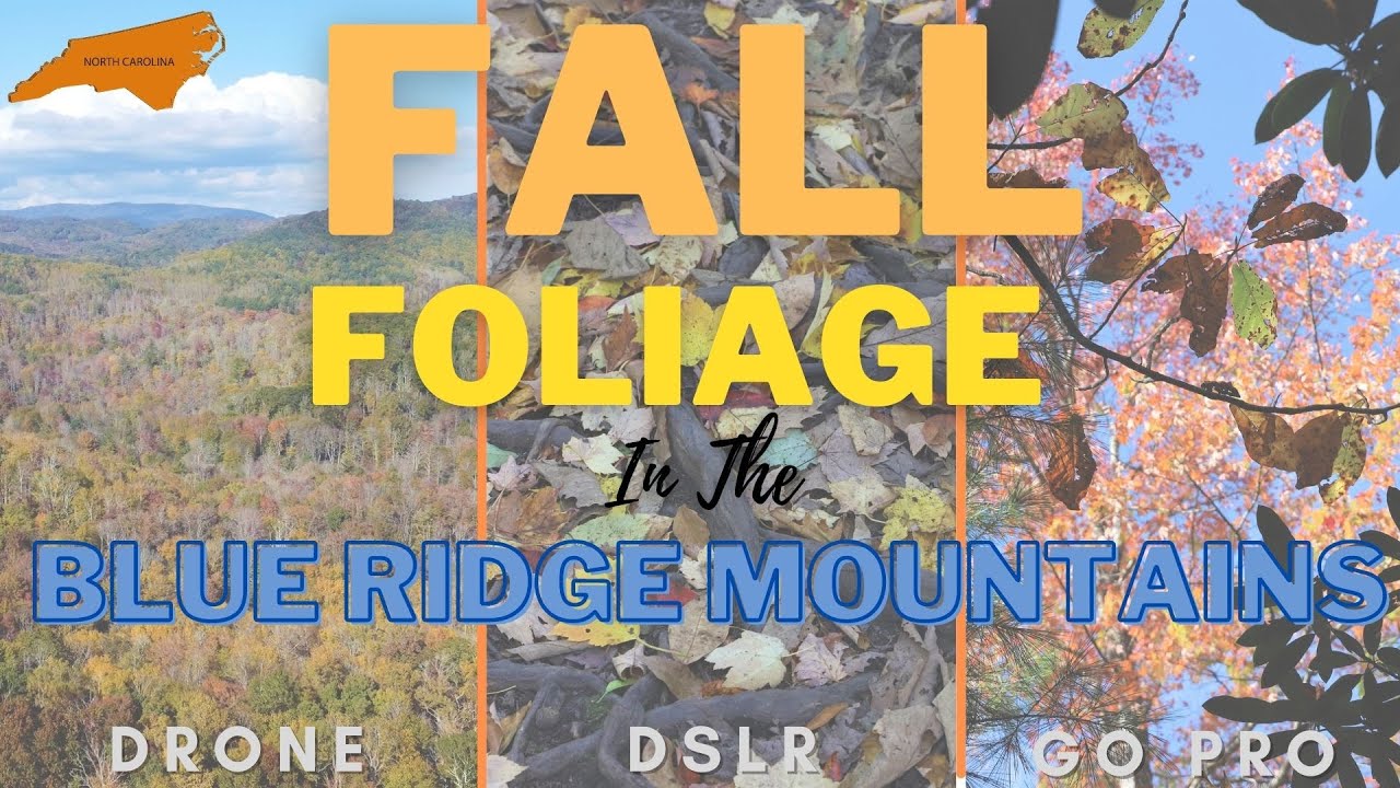 Fall Foliage Colors in the Blue Ridge Mountains - YouTube