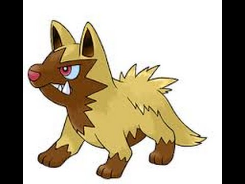 Pokemon Omega Ruby/Alpha Sapphire ORAS - DexNav Chain - Shiny Poochyena ...