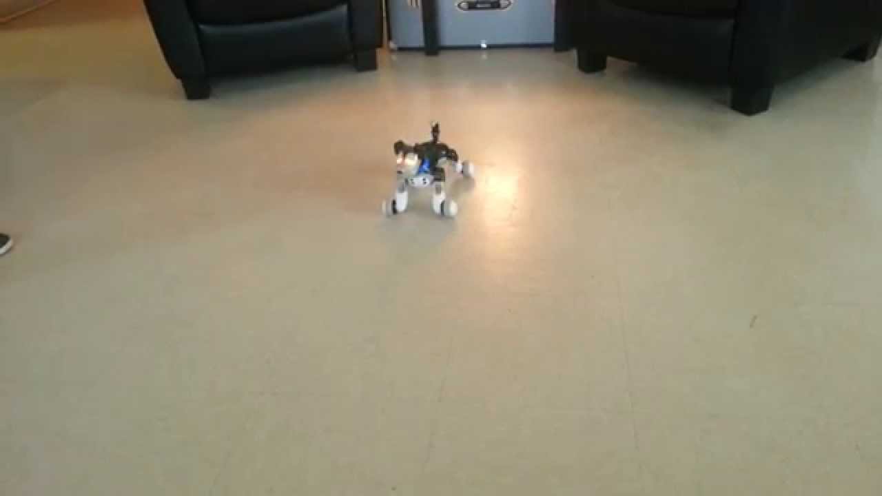 Zoomer 2.0 Interactive Puppy "Shadow" your Real best friend - YouTube